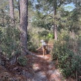 Econlockhatchee River Trail, Florida - 445 Reviews, Map | AllTrails