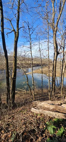 Best Hikes and Trails in Two Rivers Mountain Bike Park | AllTrails