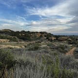 Stoney Point via North End , California - 250 Reviews, Map | AllTrails