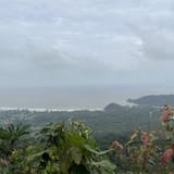 Gunung Arong Loop, Johor, Malaysia - 15 Reviews, Map | AllTrails