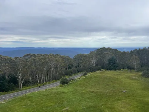 10 Best Hikes and Trails in Yarra Ranges National Park | AllTrails
