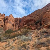 Johnson Canyon Trail, Utah - 973 Reviews, Map | AllTrails