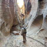 Bull Valley Gorge Trail, Utah - 206 Reviews, Map | AllTrails