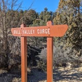 Bull Valley Gorge Trail, Utah - 206 Reviews, Map | AllTrails