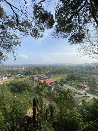 Best Forest Trails in Balok | AllTrails