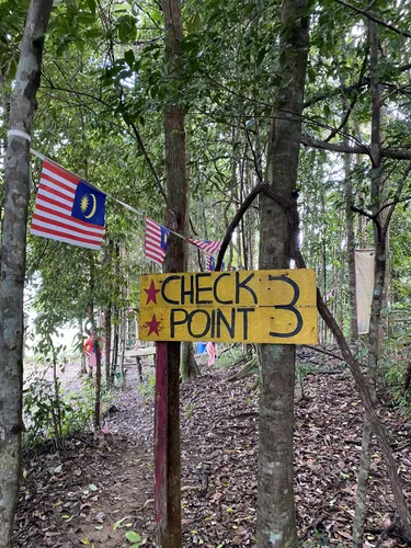 Best Forest Trails in Balok | AllTrails