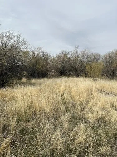 Best Hikes and Trails in Reach 11 Recreation Area | AllTrails