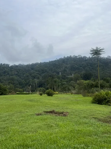 Best Hikes and Trails in Kepong Botanical Garden | AllTrails