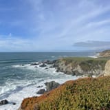 Bodega Head Trail, California - 1,620 Reviews, Map | AllTrails