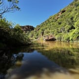 Muningi Gorge, Gauteng, South Africa - 105 Reviews, Map | AllTrails