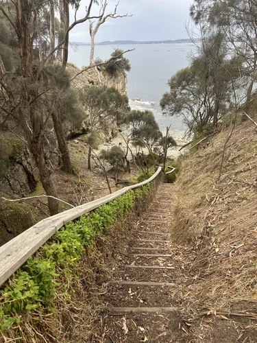 Best Hikes and Trails in Fossil Cove Conservation Area | AllTrails