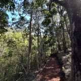 Kahakapao Loop Trail, Maui, Hawaii - 1,936 Reviews, Map | AllTrails
