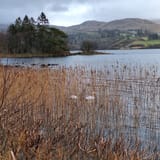 Lough Eske Nature Loop, County Donegal, Ireland - 102 Reviews, Map ...