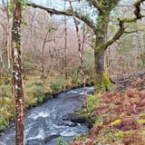 Lough Eske Nature Loop, County Donegal, Ireland - 102 Reviews, Map ...