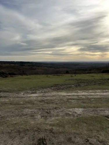 Best Hikes and Trails in Ashdown Forest | AllTrails