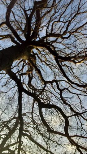 Best Hikes and Trails in Hanningfield Reservoir Nature Discovery Park ...