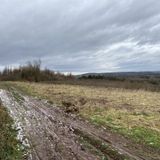 Old Pale Hill and Delamere Forest, Cheshire, England - 890 Reviews, Map ...