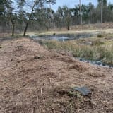 Old Pale Hill and Delamere Forest, Cheshire, England - 890 Reviews, Map ...