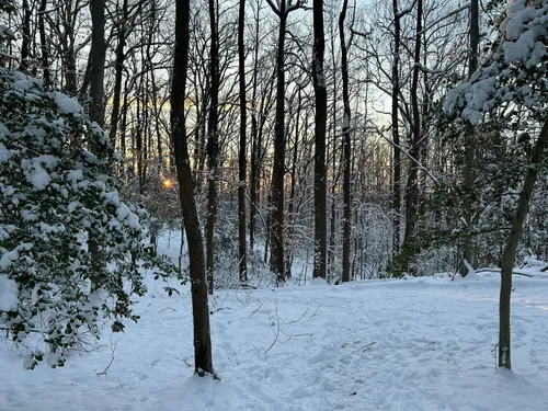 Best Hikes and Trails in Annapolis Waterworks Park | AllTrails
