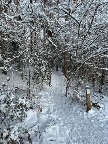 Best Hikes and Trails in Annapolis Waterworks Park | AllTrails