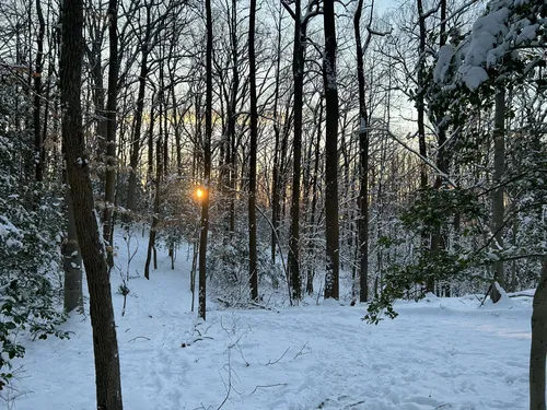 Best Hikes and Trails in Annapolis Waterworks Park | AllTrails