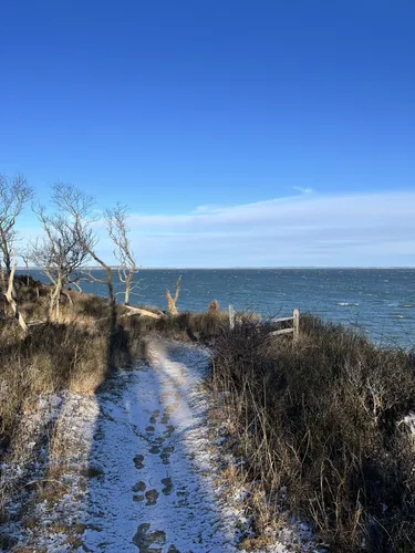 Best Hikes and Trails in Cedar Point County Park | AllTrails