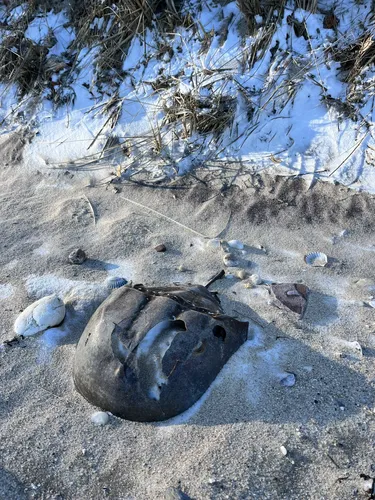 Best Hikes and Trails in Cedar Point County Park | AllTrails