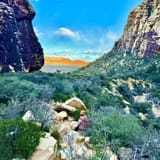 Ice Box Canyon Trail, Nevada - 2,906 Reviews, Map | AllTrails