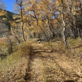 Caribou Ranch Trail, Colorado - 1,332 Reviews, Map | AllTrails