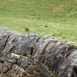 Anglezarke Reservoir, Lancashire, England - 551 Reviews, Map | AllTrails