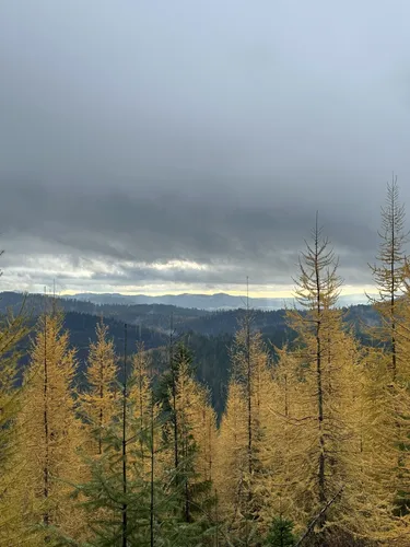 Best Forest Trails in Harvard | AllTrails