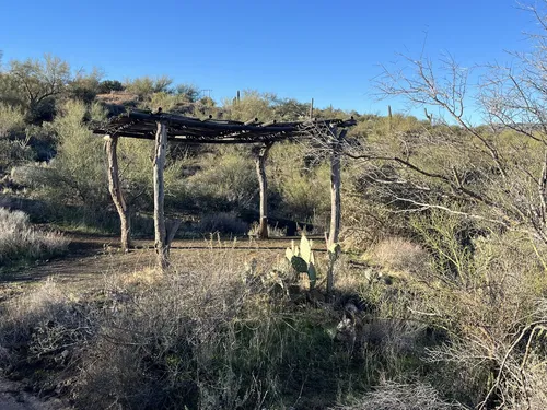 Best Hikes and Trails in Winkelman | AllTrails