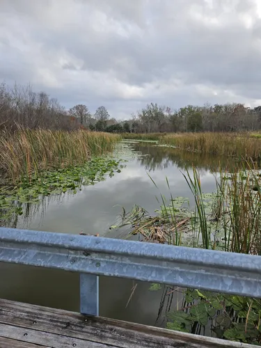Best Hikes and Trails in Emeralda Marsh Conservation Area | AllTrails