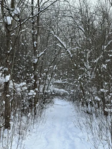 Best Hikes and Trails in Nature View Park | AllTrails