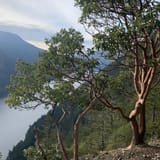 Wesley Ridge, British Columbia, Canada - 716 Reviews, Map | AllTrails