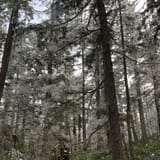 Wesley Ridge, British Columbia, Canada - 716 Reviews, Map | AllTrails