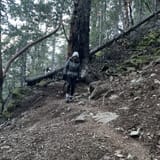 Wesley Ridge, British Columbia, Canada - 716 Reviews, Map | AllTrails