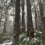 Wesley Ridge, British Columbia, Canada - 716 Reviews, Map | AllTrails