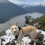 Wesley Ridge, British Columbia, Canada - 716 Reviews, Map | AllTrails