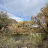 Lower Salt River Nature Trail, Arizona - 1,106 Reviews, Map | AllTrails