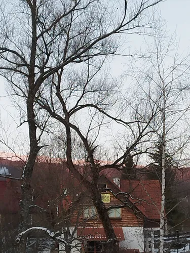 Best Partially Paved Trails in Cisna-Wetlinski Landscape Park | AllTrails