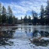 Lacamas Heritage Trail via Camas Heritage Park, Washington - 1,062 ...