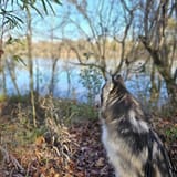 Torreya Trail, Florida - 438 Reviews, Map | AllTrails