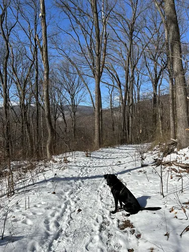 Best Hikes and Trails in Mint Spring Valley Park | AllTrails