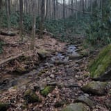 Coon Den Falls via Appalachian Trail, Tennessee - 335 Reviews, Map ...