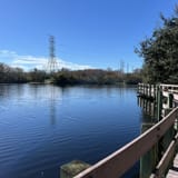 Largo Nature Preserve Loop, Florida - 402 Reviews, Map | AllTrails