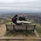 Henninger Flats Trail, California - 2,614 Reviews, Map | AllTrails