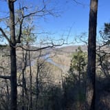 Widowmaker Trail, Georgia - 171 Reviews, Map | AllTrails