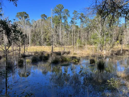 Best Hikes and Trails in Gum Root Park | AllTrails