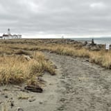 Dungeness Spit Trail, Washington - 1,542 Reviews, Map | AllTrails